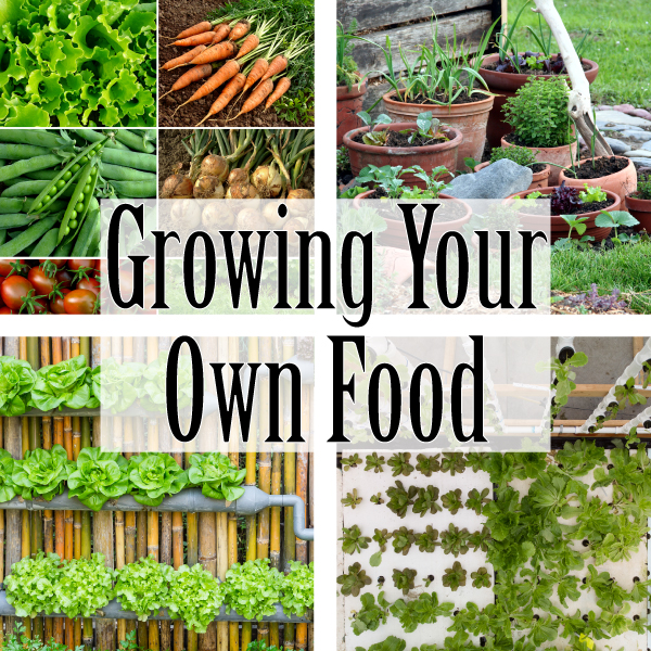Growing Your Own Food – Resources for Green Living